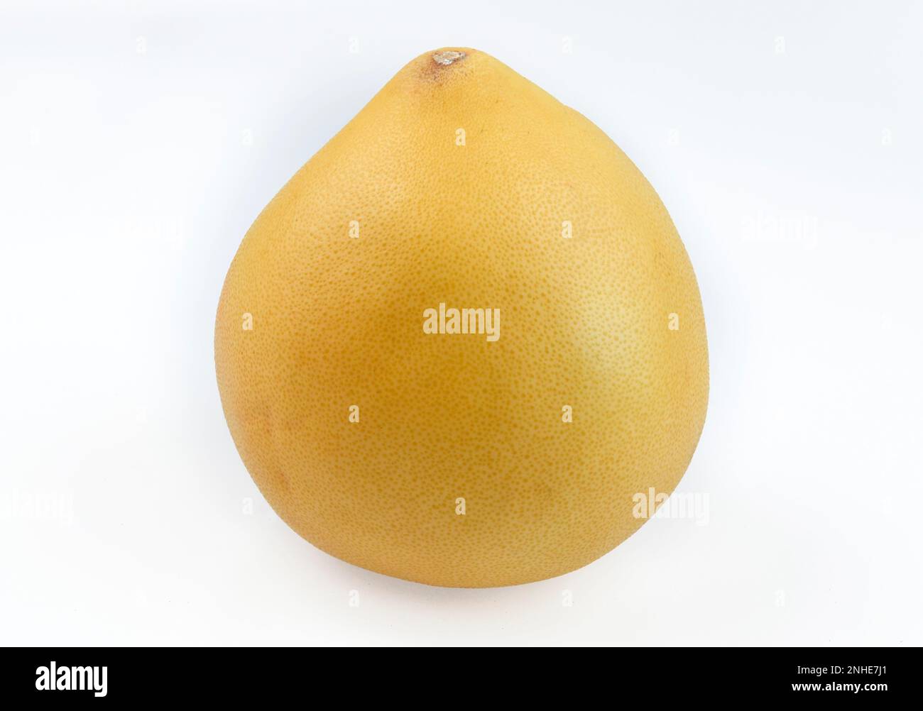 Chinese grapefruit (Citrus maxima Stock Photo - Alamy