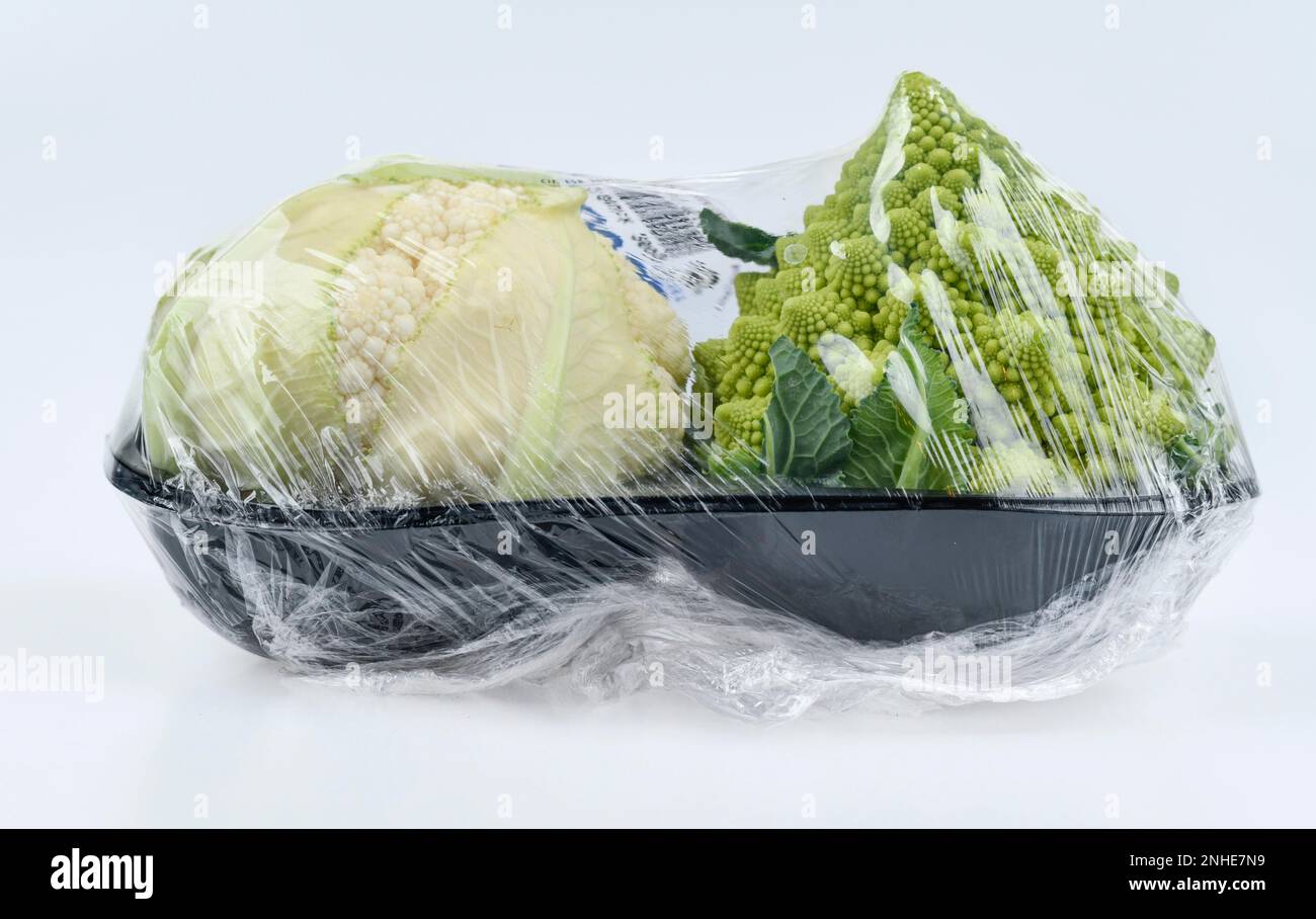 Mini cauliflower (Brassica oleracea var. botrytis) (Brassica ...