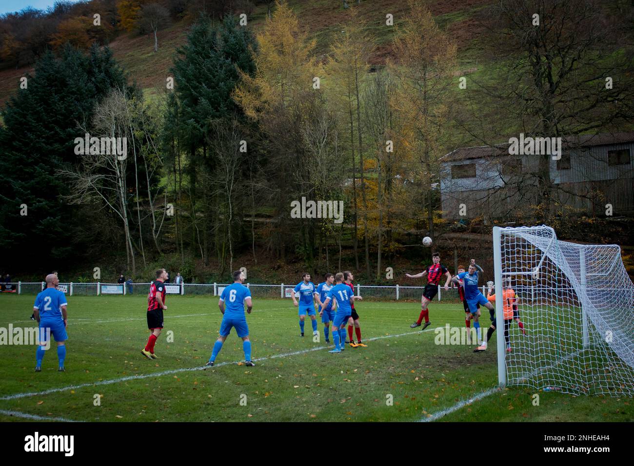 Abertillery bluebirds hi-res stock photography and images - Alamy