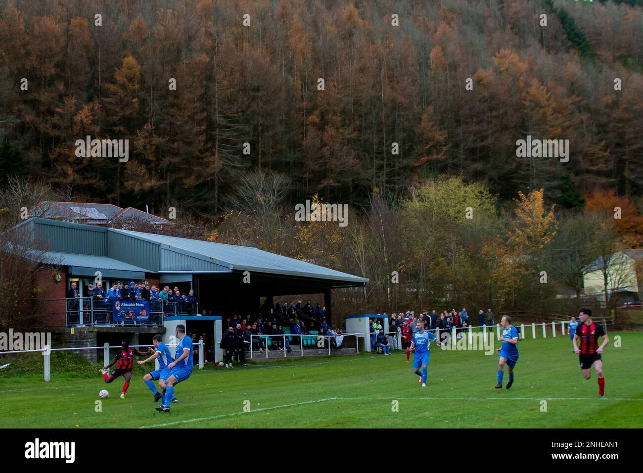 Abertillery bluebirds hi-res stock photography and images - Alamy