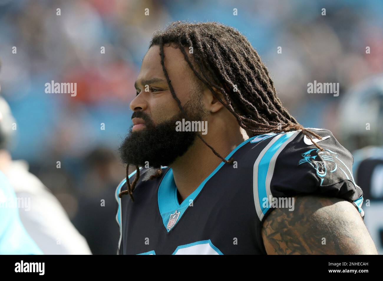CHARLOTTE, NC - NOVEMBER 27: Carolina Panthers defensive tackle ...