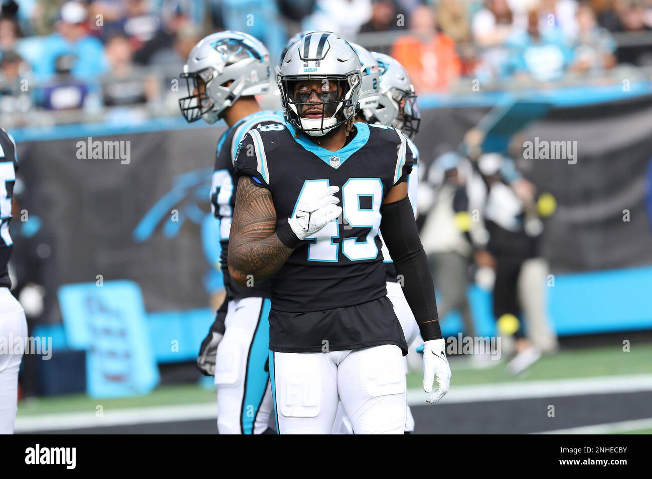 CHARLOTTE, NC - NOVEMBER 27: Carolina Panthers linebacker Frankie Luvu ...