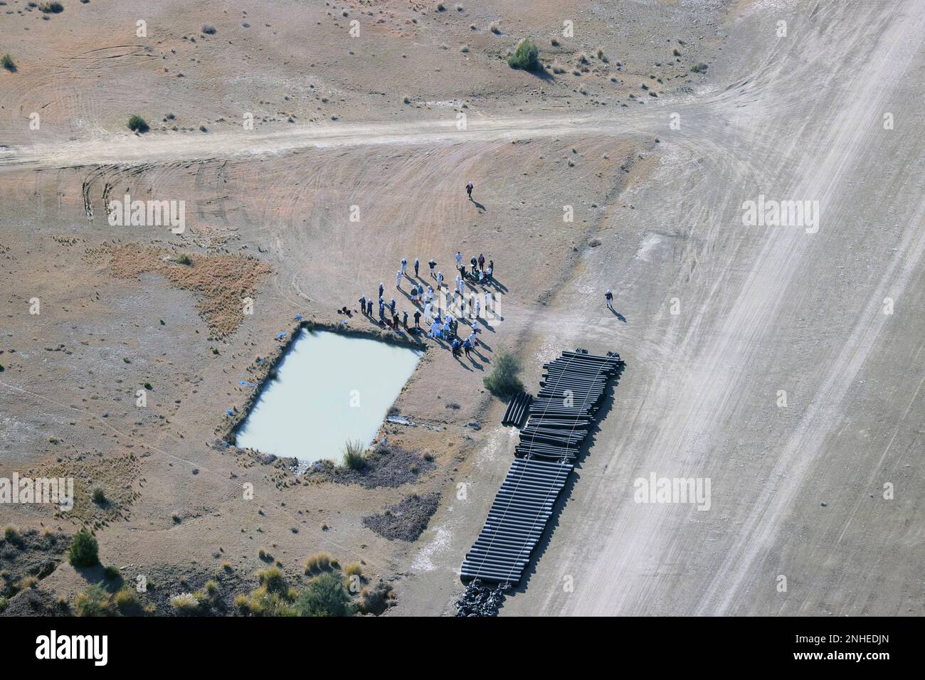 Workers are at Mageshima Island in Iriomote City, Kagoshima Prefecture ...