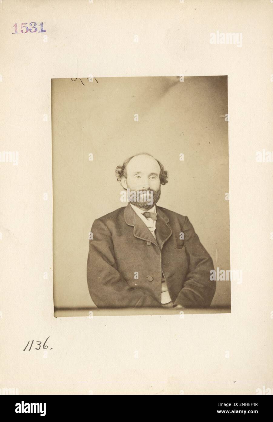 Hamilton ward hi-res stock photography and images - Alamy