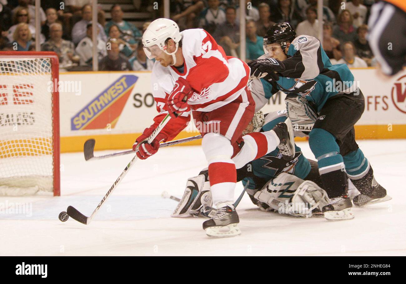 sharks1 0117 mac.jpg Detroit's 37-Mikael Samuelsson gets around Sharks ...