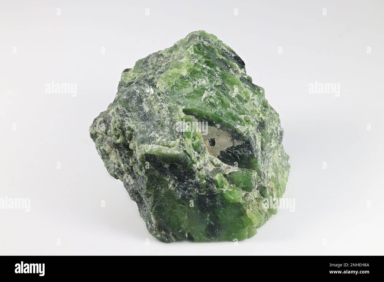 Kromidiopsidi hi-res stock photography and images - Alamy