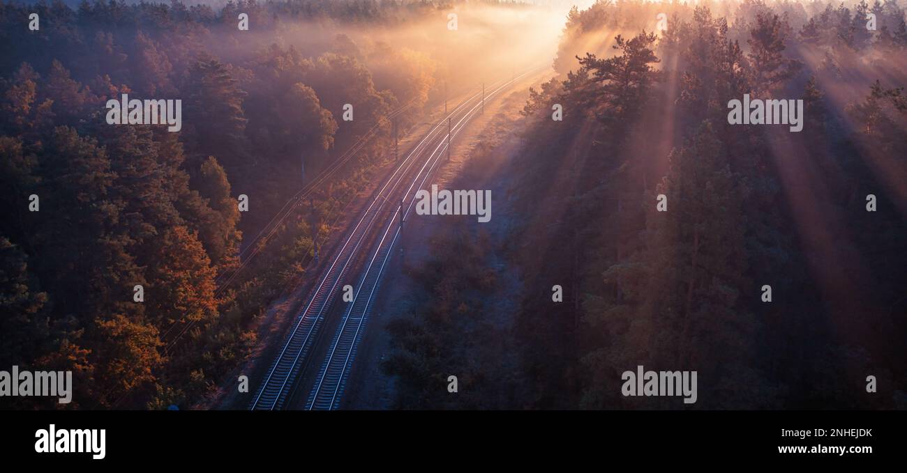 The train track winds through the captivating autumn forest on this ...