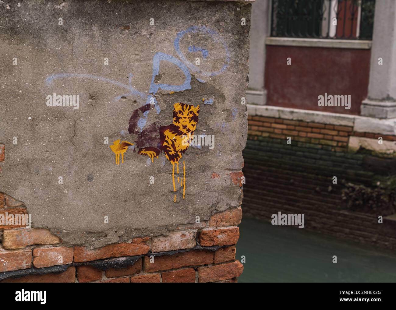 Graffiti kitten hi-res stock photography and images - Alamy