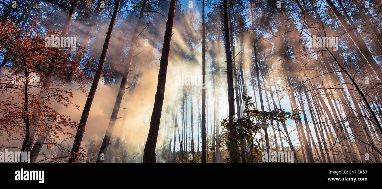 Embark on a journey through time and nature with this stunning image of ...