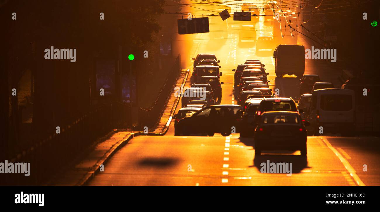 The golden hour of the morning is disturbed by the chaotic swarm of ...