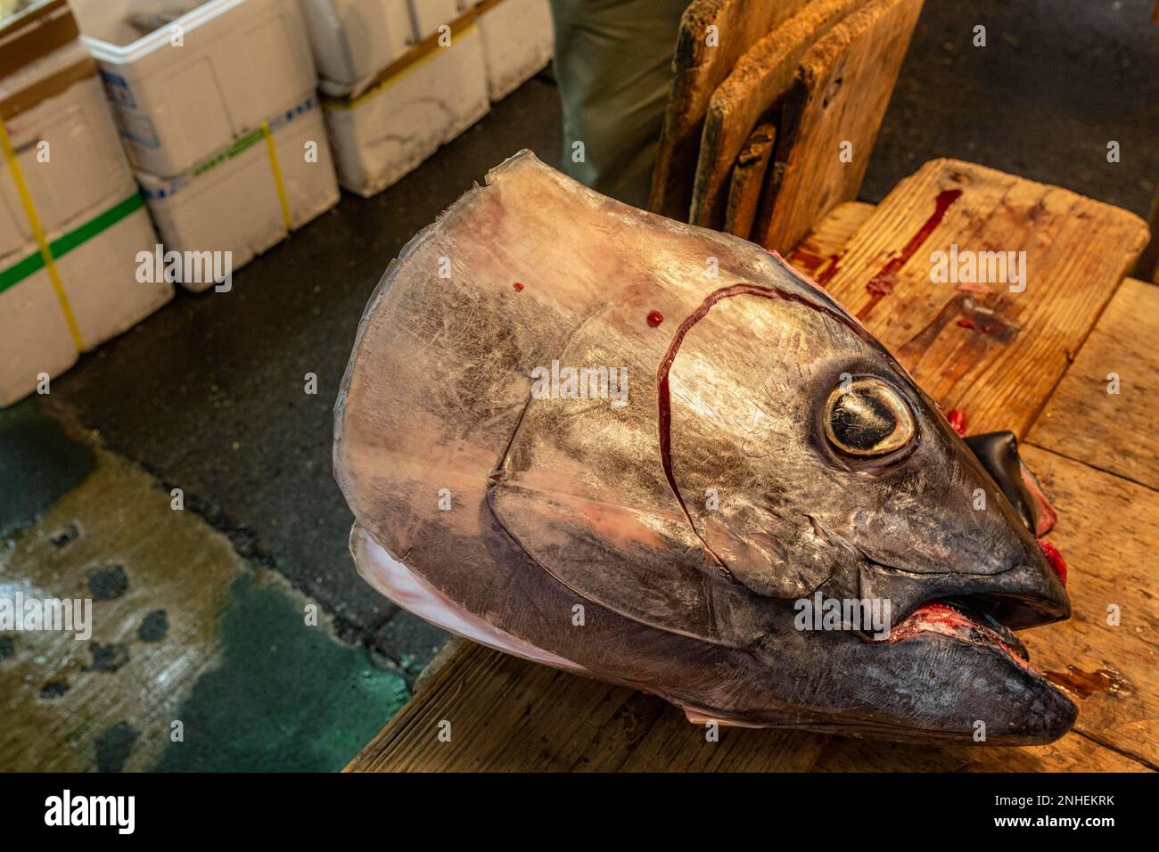 Tokyo Japan. Fish Market. Fish head beheaded Stock Photo - Alamy