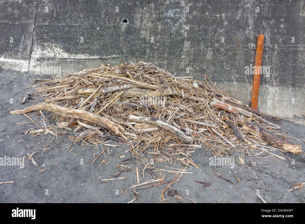 Driftwood on the beach of Sagami Bay, Kanagawa prefecture, Japan Stock ...