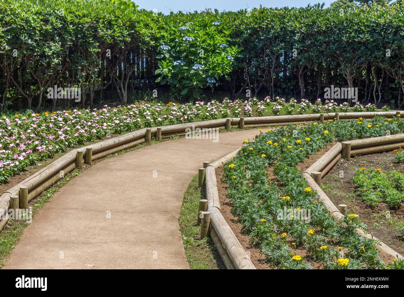 The Samuel Cocking Garden at Enoshima island, Fujisawa, Kanagawa ...