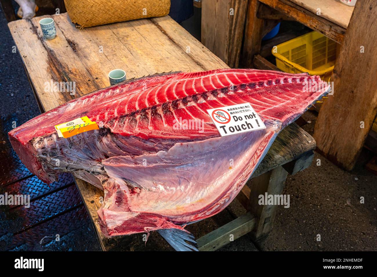 Tuna animal hi-res stock photography and images - Alamy