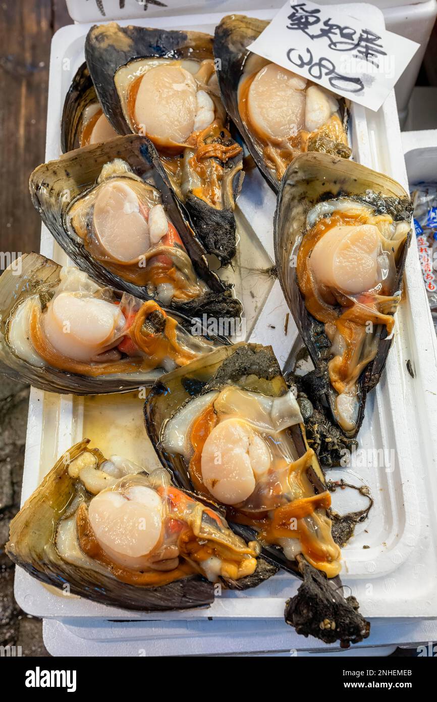 Tokyo Japan. Fish Market. Big mussels Stock Photo - Alamy