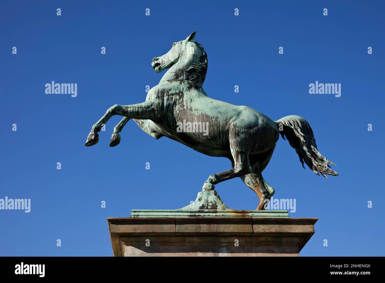 Bronze statue Sachsenross in front of the main building of Leibniz ...