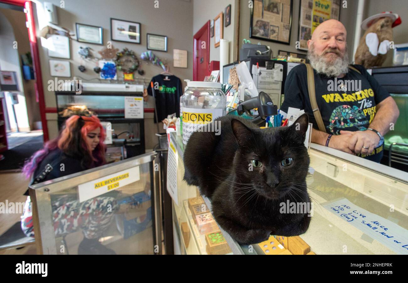 Lew S. Ton, "the resident greeter and mouser here." according to Andrew ...