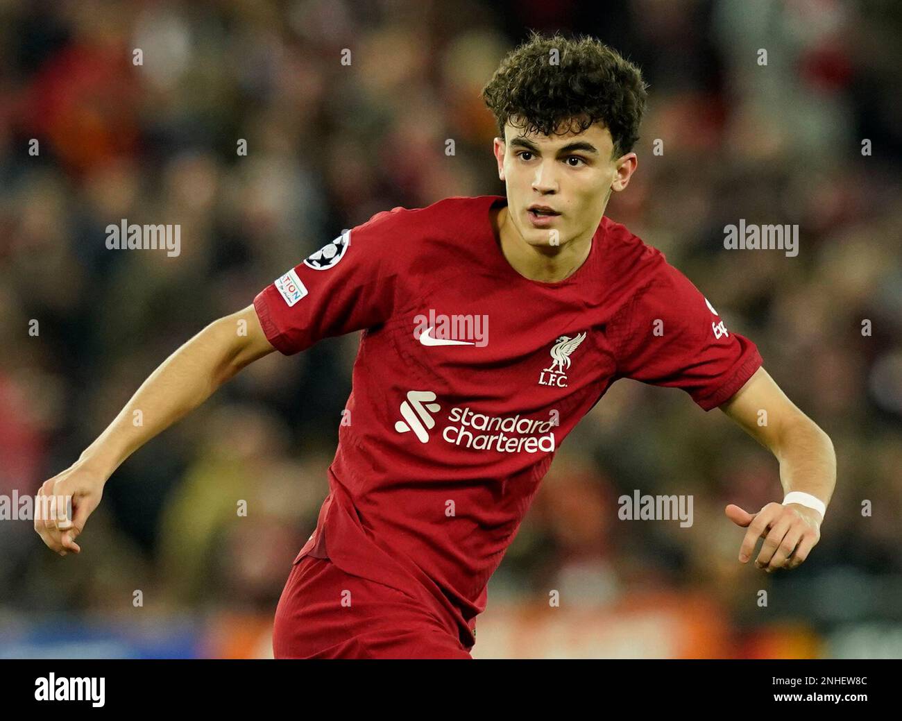 Liverpool, UK. 21st Feb, 2023. Stefan Bajcetic of Liverpool during the ...