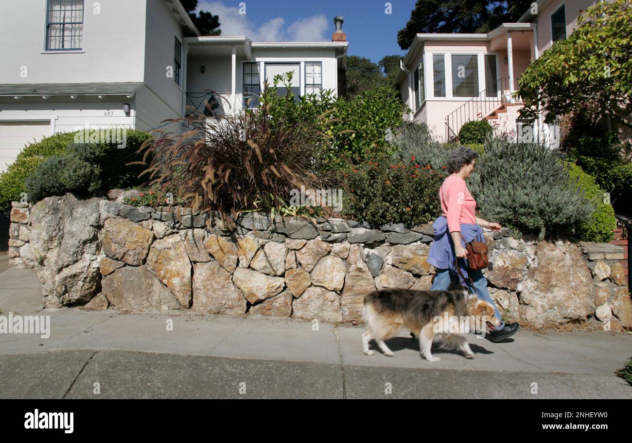 eblvolcanic 064 mac.jpg Nancy Shapiro walks her dog Cookie along Contra ...