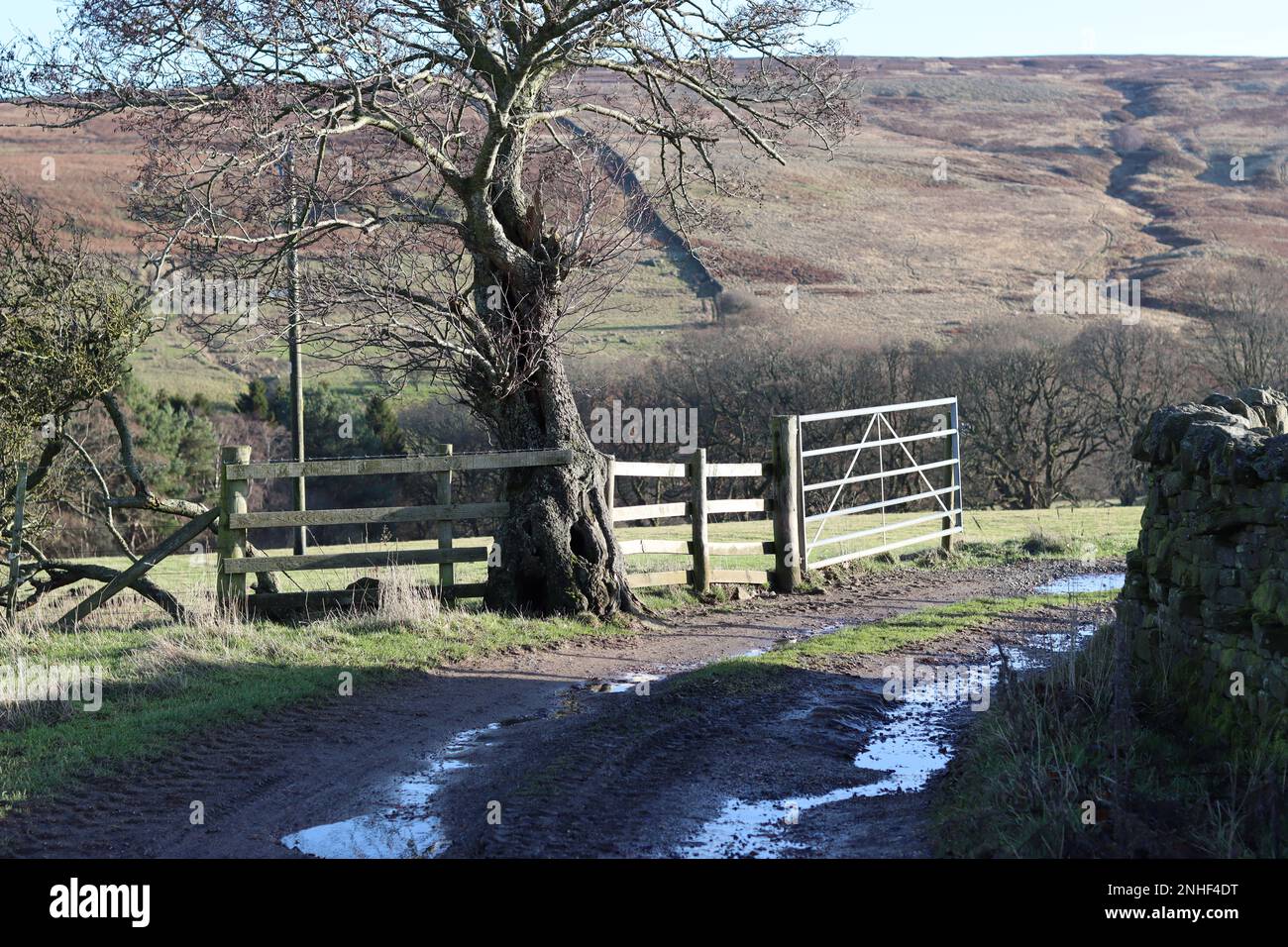 Farm track leading round a corner into sunshine with open hillside ...