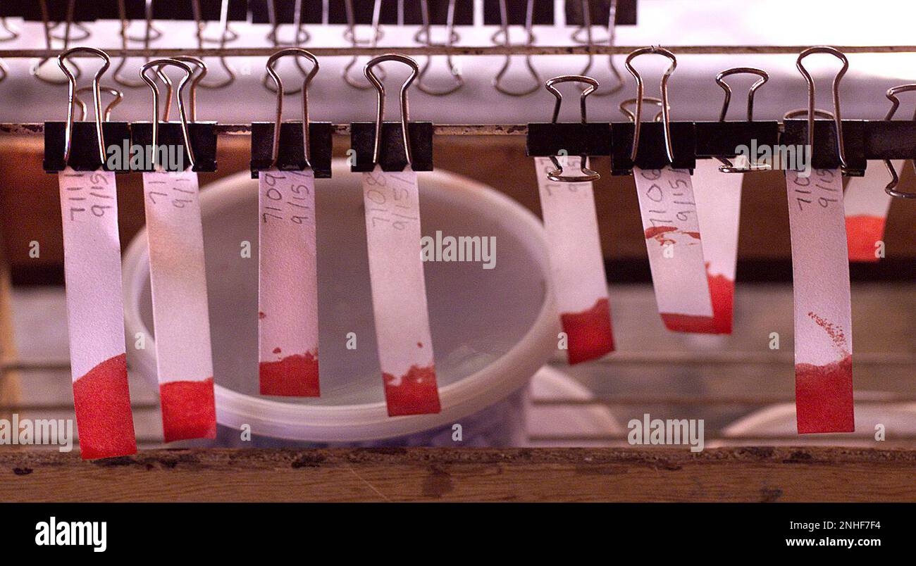 CHICKEN 03-C-15SEP99-MN-MAC = San Mateo County Vector Control uses ...