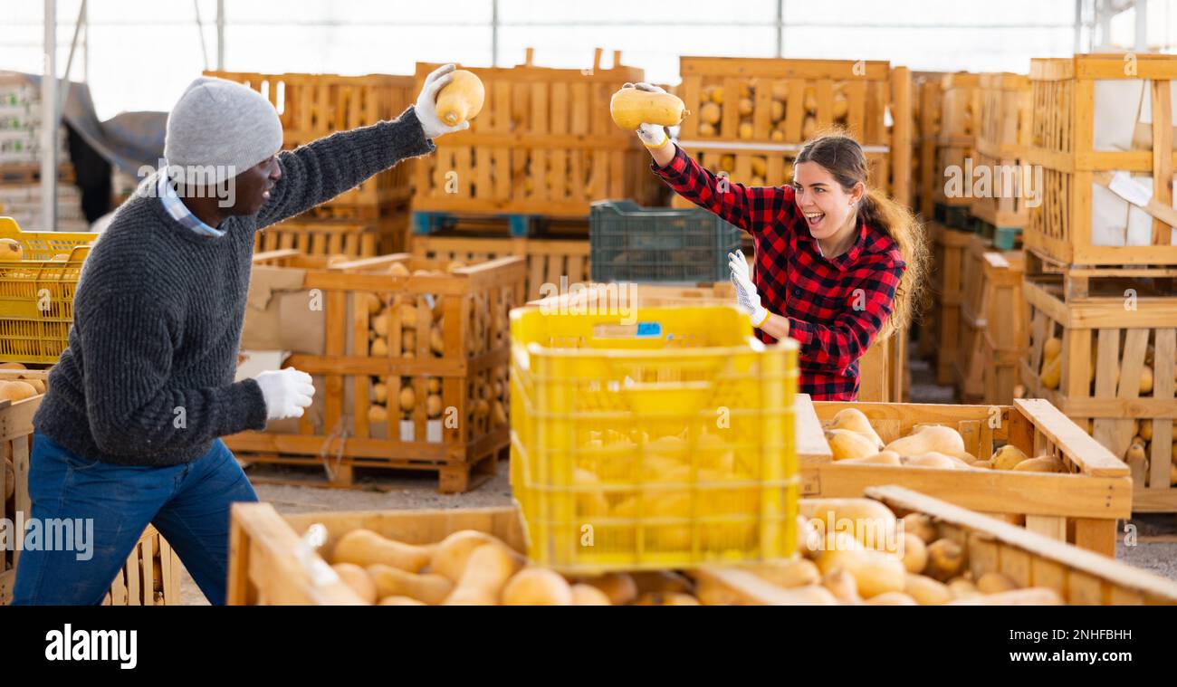 Man and woman throwing pumpkin at each other Stock Photo - Alamy