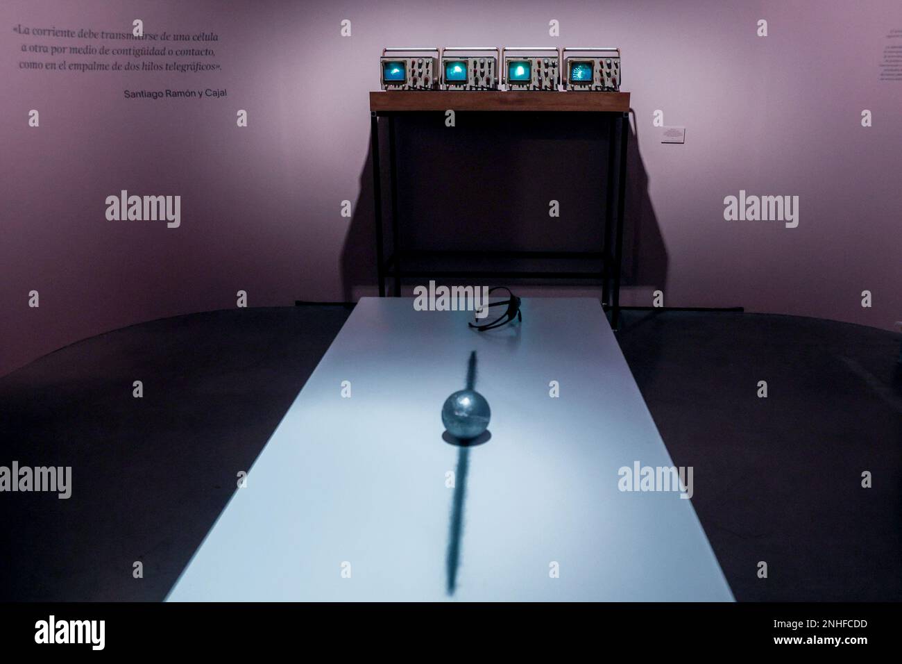 One of the pieces that make up the exhibition 'Cerebro(s)' at Espacio ...