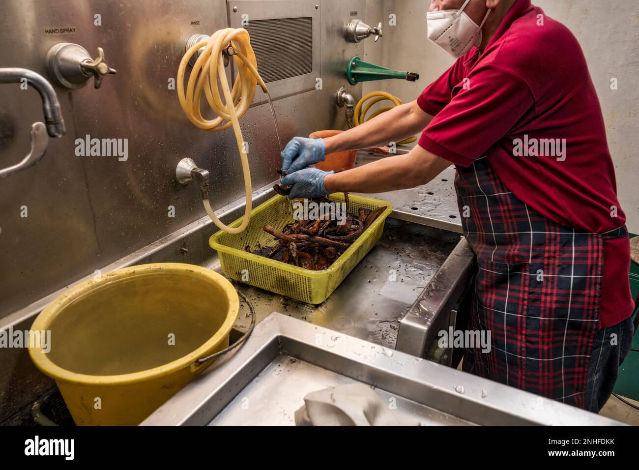 Raquel Fortun forensic pathologist, Duterte's war on drugs, Manila ...