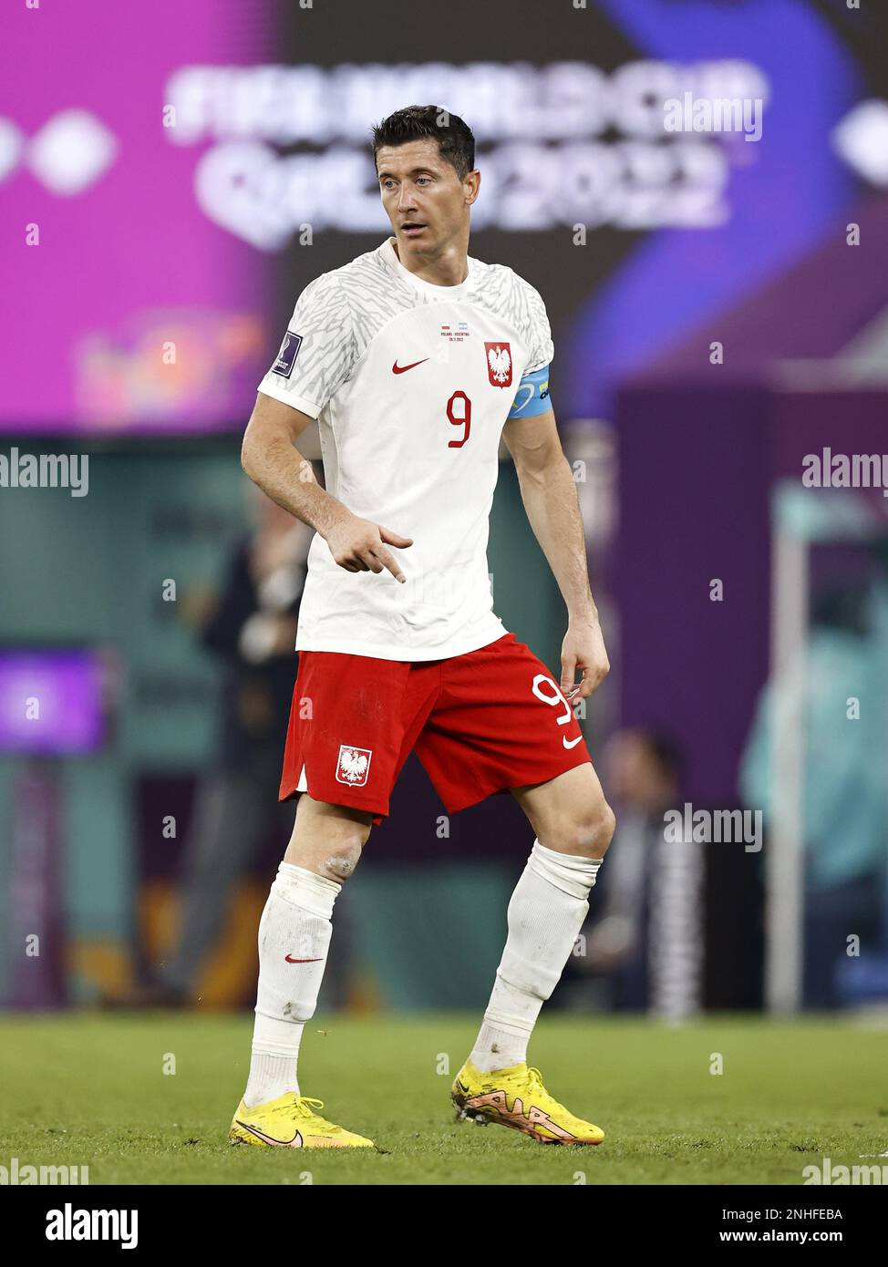 DOHA - Robert Lewandowski of Poland during the FIFA World Cup Qatar ...