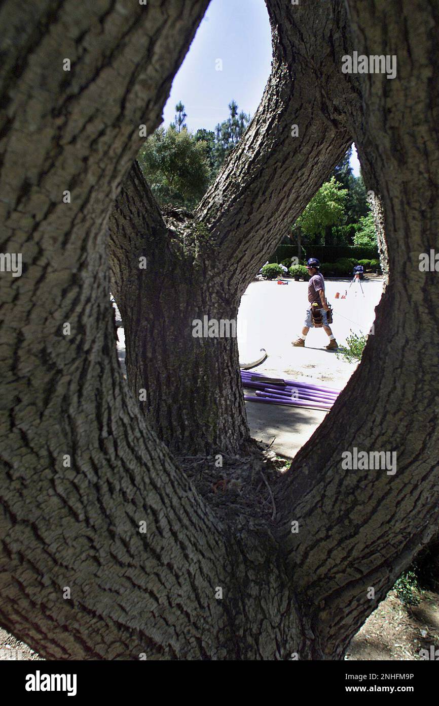 GARDENPARK7-C-24APR00-PZ-MAC New Horticultural Theme Park in Gilroy ...