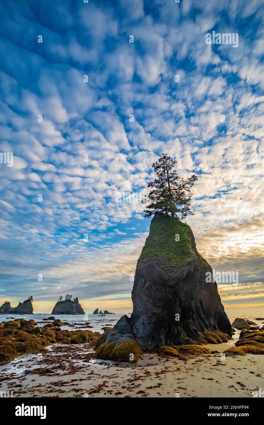 Dramatic clouds at sunset over Point of Arches and Shi Shi Beach in ...