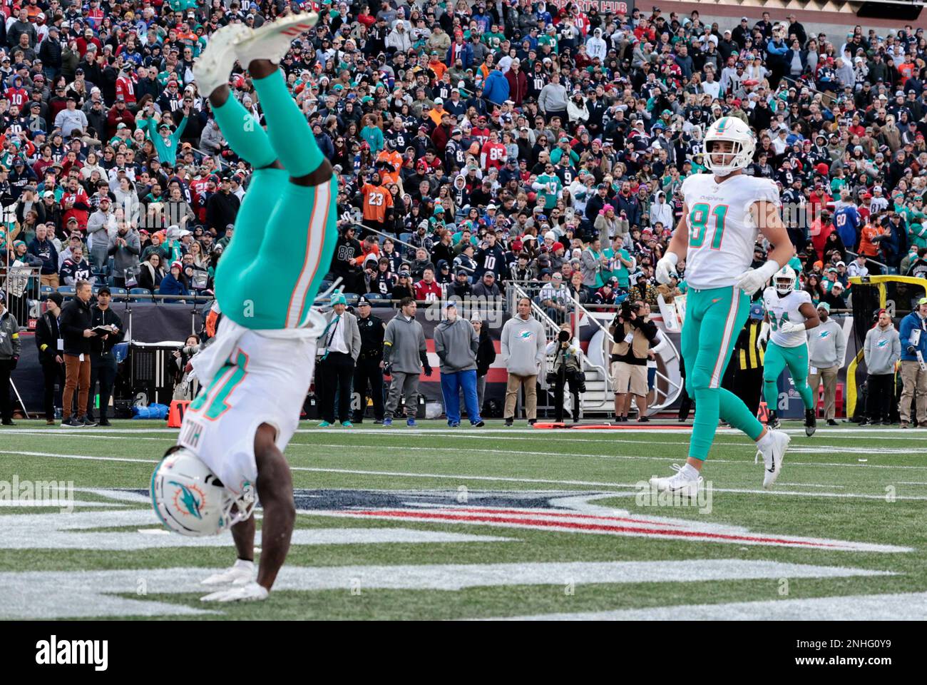 FOXBOROUGH, MA - JANUARY 01: Miami Dolphins tight end Durham Smythe (81 ...