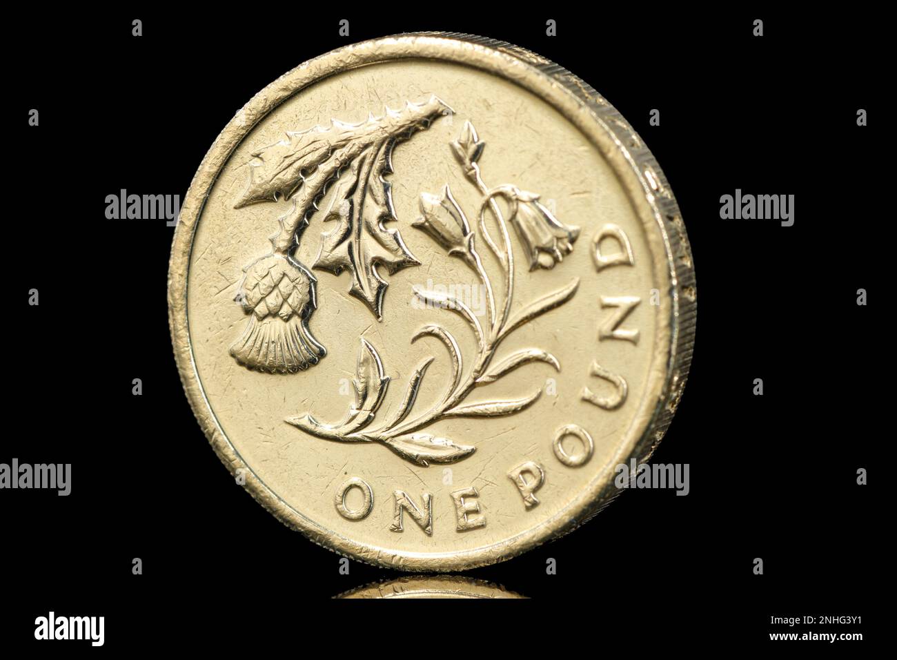 2014 Scottish One pound coin featuring a Thistle & Bluebell on the ...