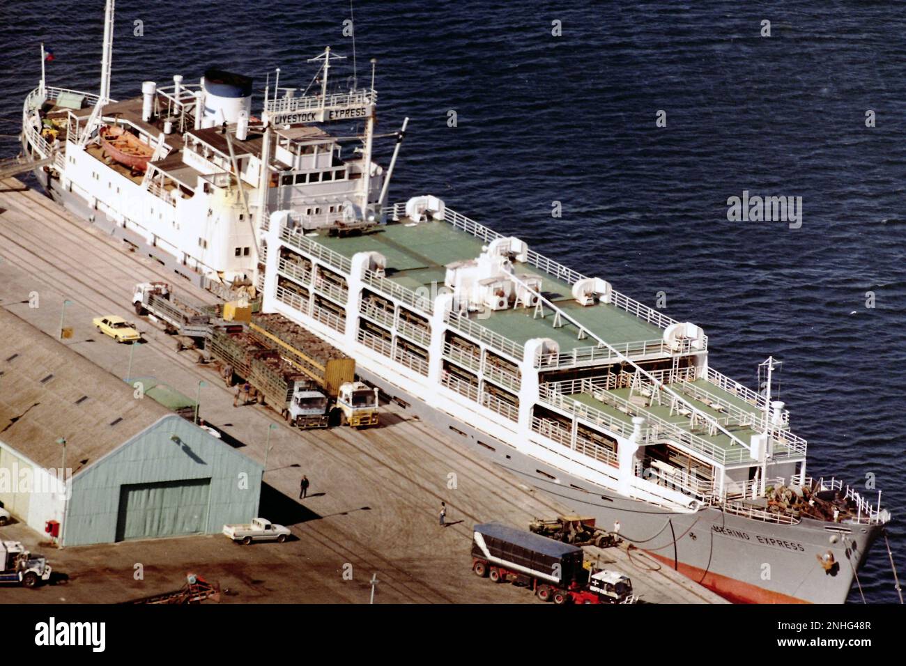 Merino express hi-res stock photography and images - Alamy