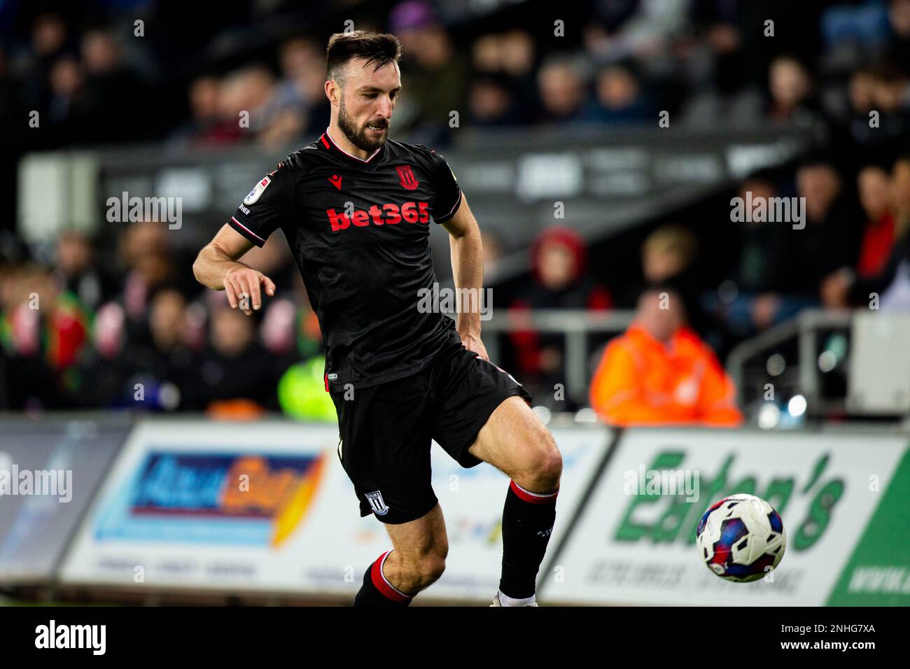 Morgan fox wales hi-res stock photography and images - Alamy