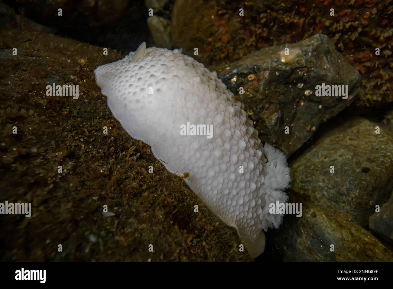 Knight point state park hi-res stock photography and images - Alamy