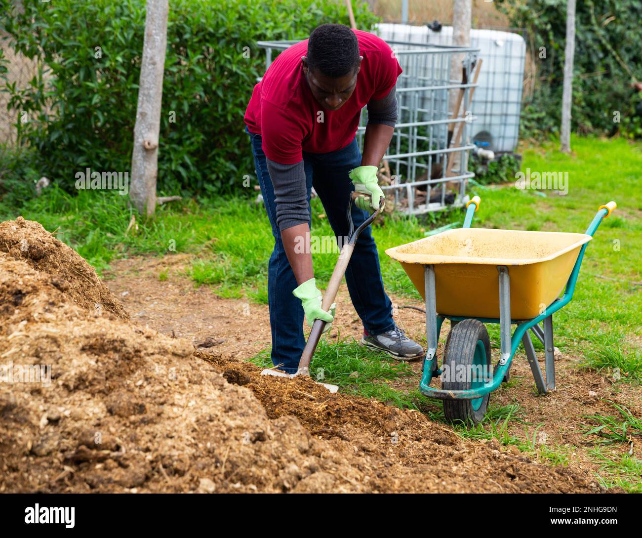 African man digging manure to fertilize soil Stock Photo - Alamy