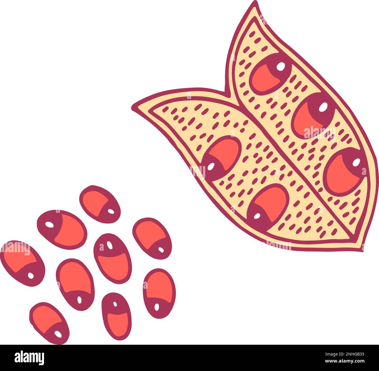 Rosary pea - poisonous plant. Element for design, print etc. Line art ...