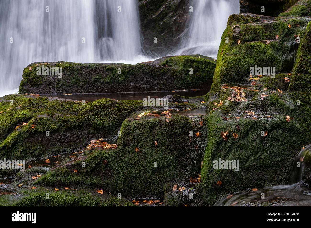 Clear water cascades over moss-covered rocks while autumn leaves add ...