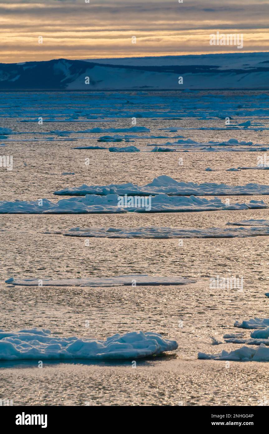 Sunset over broken ice packs in the Arctic ocean around the Svalbard ...