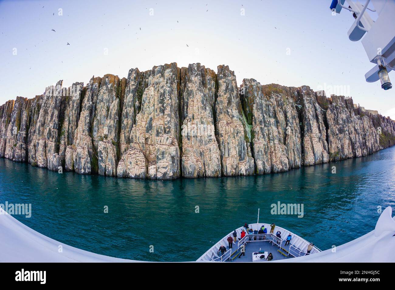 Thousands of sea birds nesting on the Alkefjellet cliffs in Kapp ...