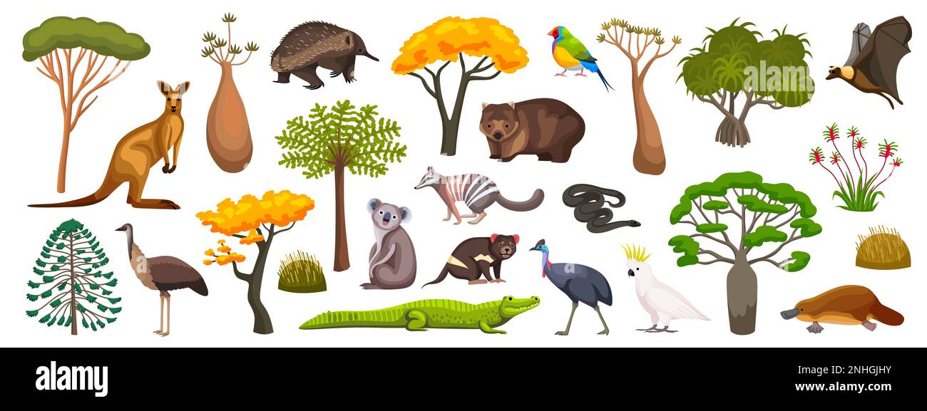 Australian fauna and flora flat set with animals birds and plants ...