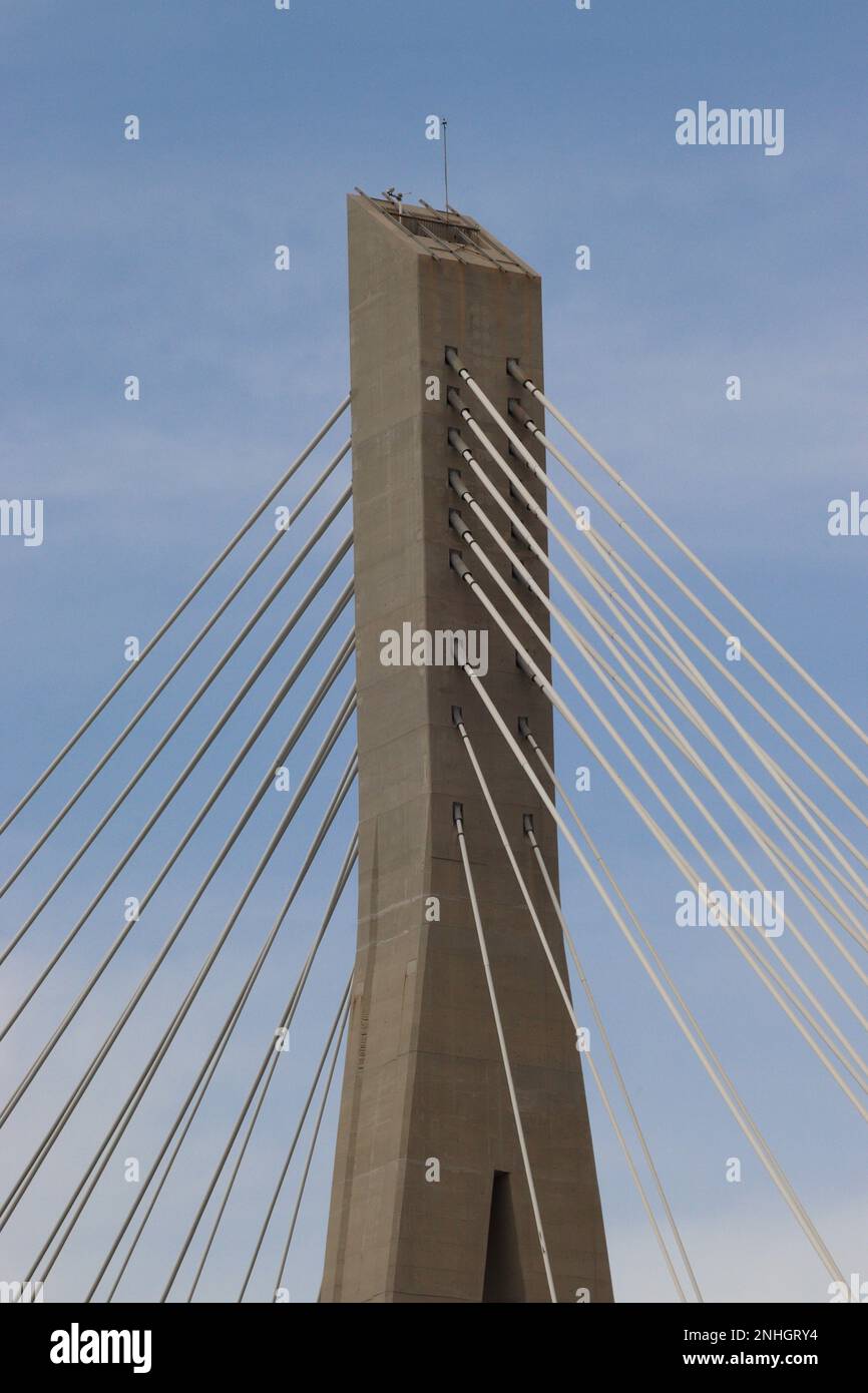 Close up detail of the tensioning cables on the Franjo Tuđman Bridge ...