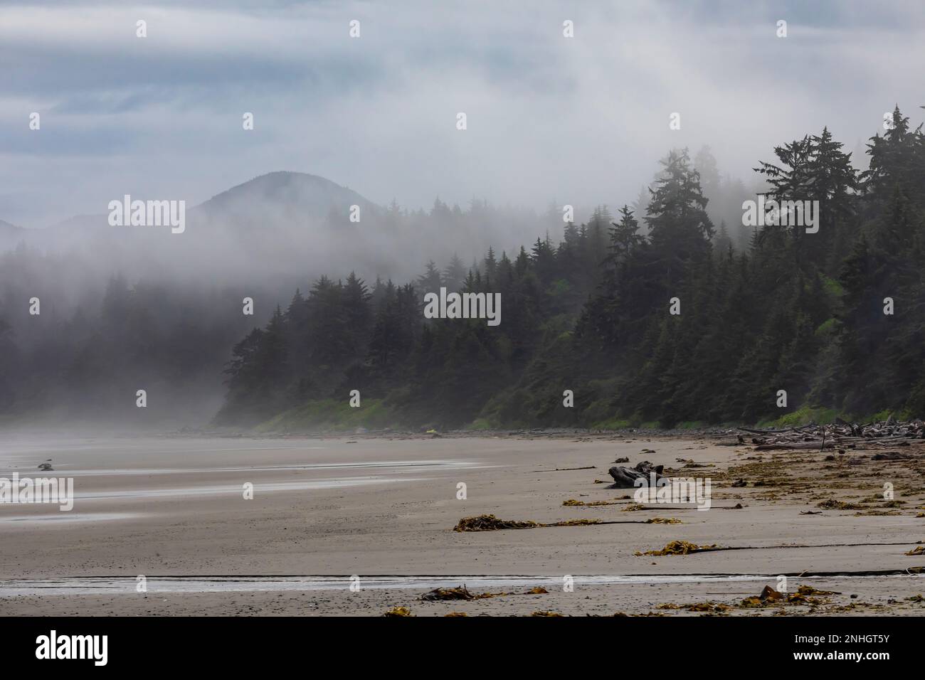 Fog lends an enchanting atmosphere to Shi Shi Beach in Olympic National ...