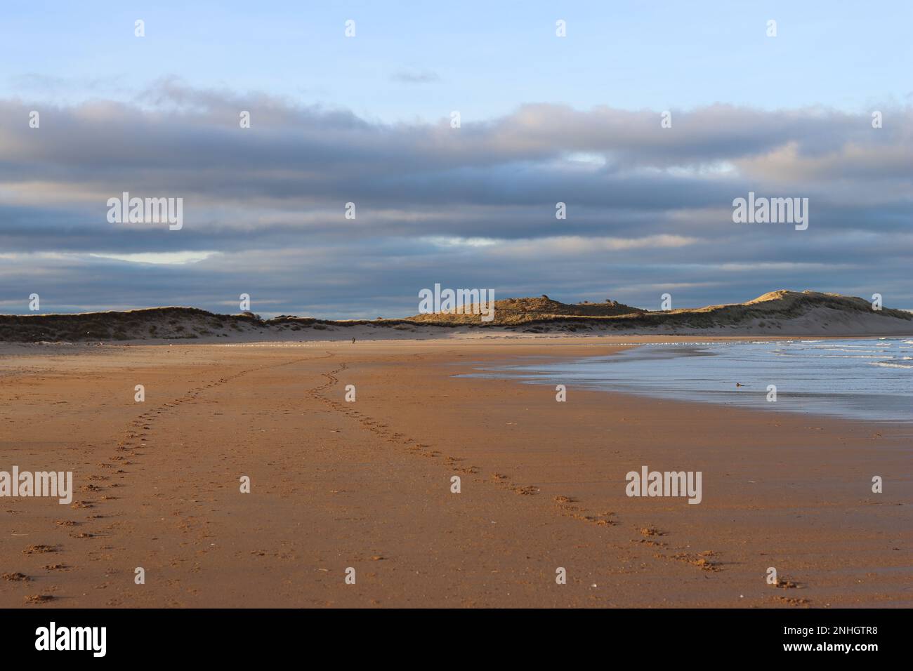 Line of footsteps running through a golden expanse of sand on a vast ...