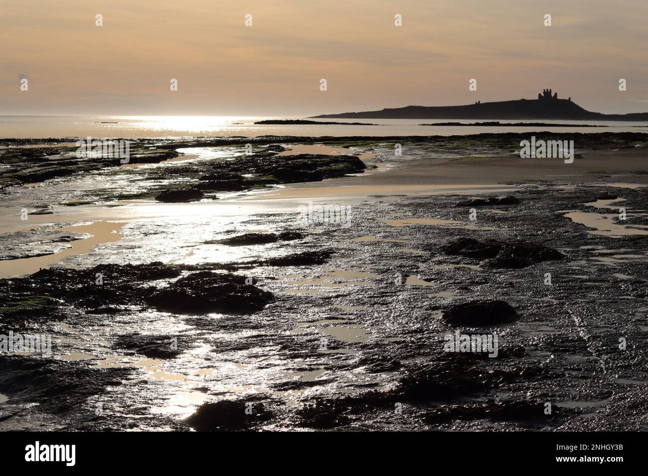 Dunstanburgh Castle at sunrise across Embleton Bay Stock Photo - Alamy
