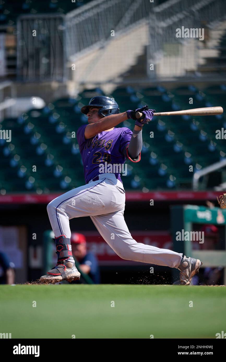 Fort Myers Mighty Mussels Noah Cardenas (24) bats during a Florida ...