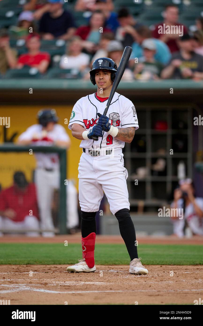 Lansing Lugnuts Gabriel Maciel (9) bats during a Midwest League baseball game against the ...