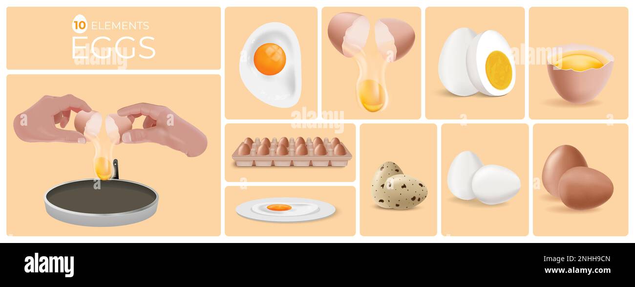 Eggs cook realistic composition set raw fires boiled chicken and quail eggs vector illustration ...