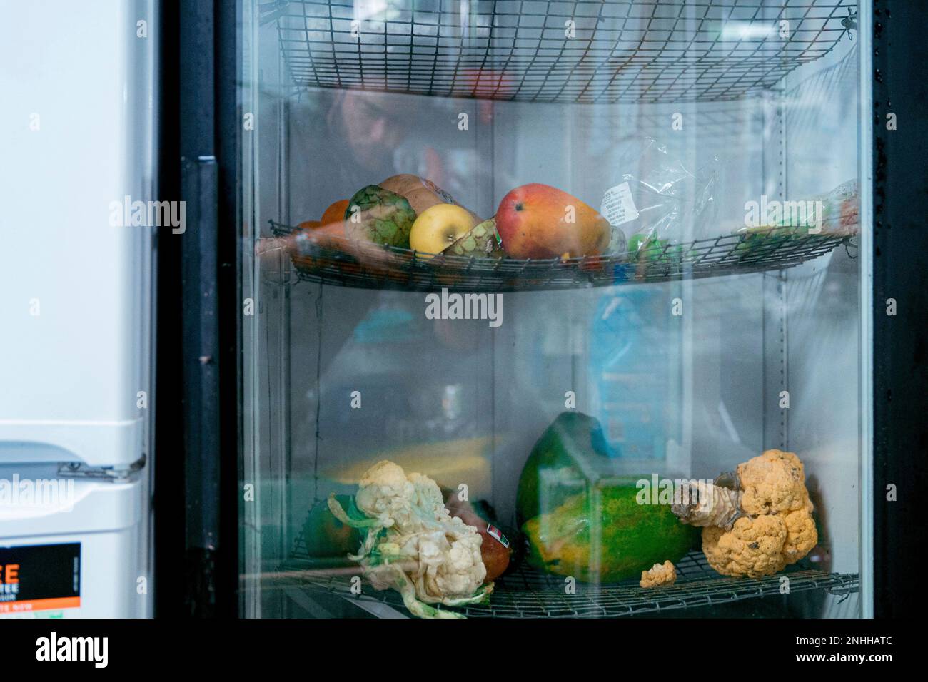 Food in a fridge at the Zoo Aquarium of Madrid, on December 16, 2022 ...